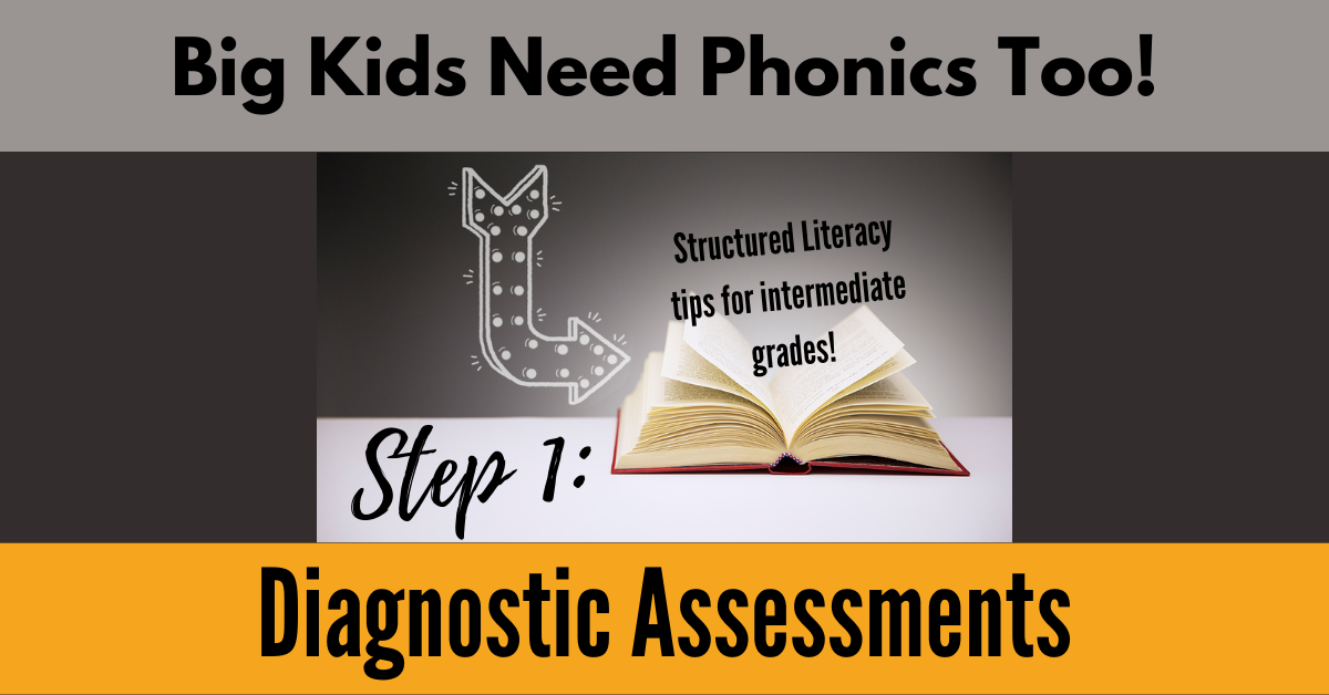 BIG Kids Need Phonics Too Series! Step 1: Diagnostic Assessments ...